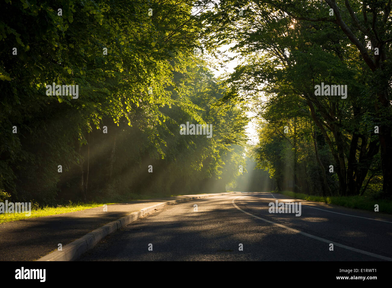 Falling sun rays hi-res stock photography and images - Alamy