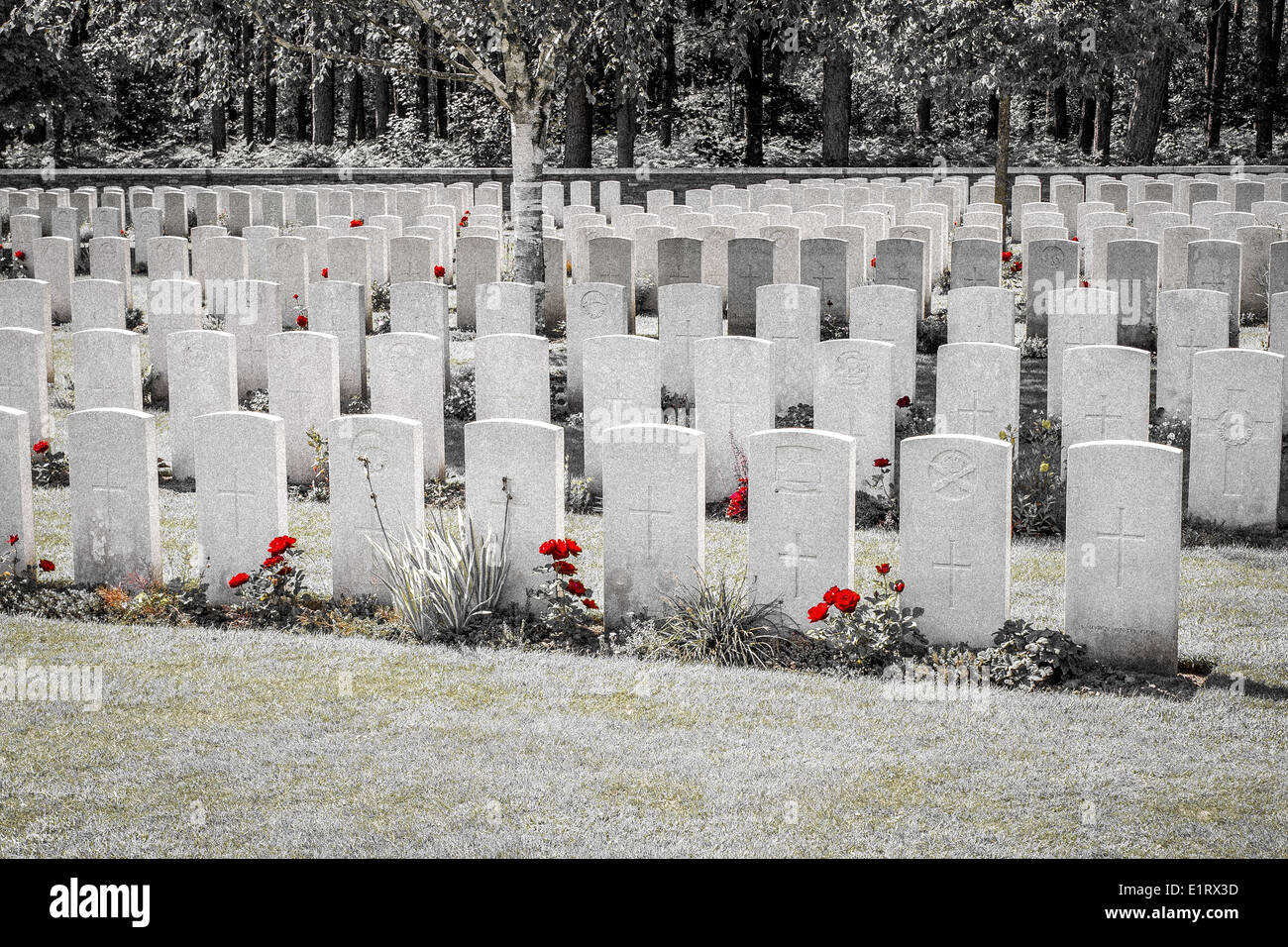 New British Cemetery world war 1 flanders fields Stock Photo - Alamy
