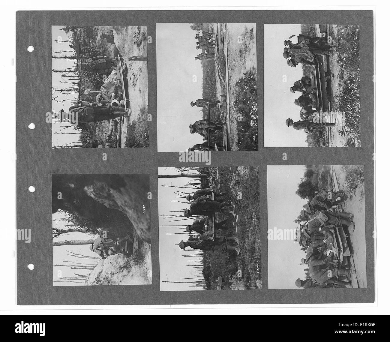 Include images Cut Out Stock Images & Pictures - Alamy