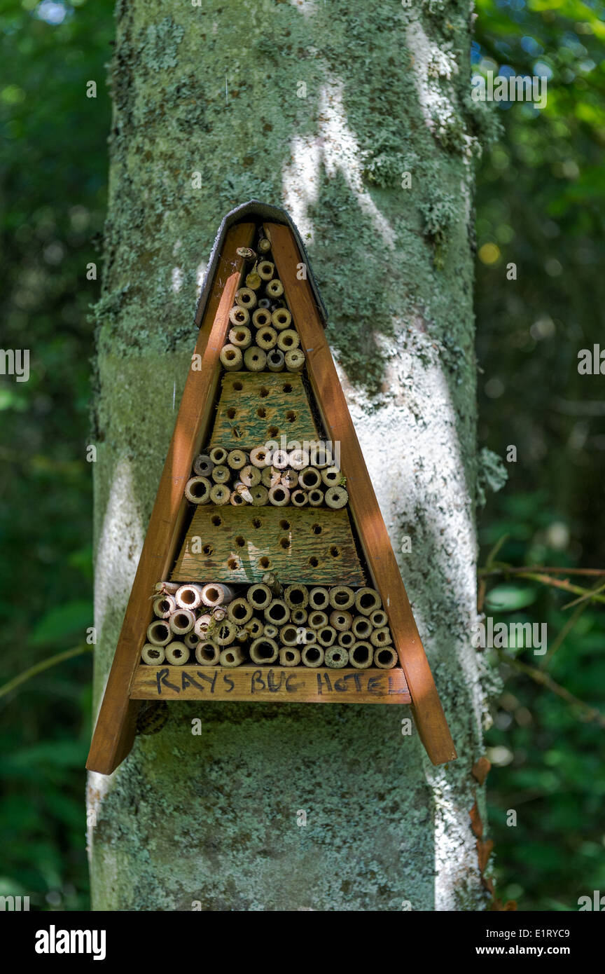 Nesting for insects hi-res stock photography and images - Alamy