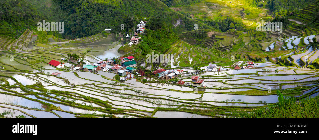 Banaue rice terraces in philippines hi-res stock photography and images ...