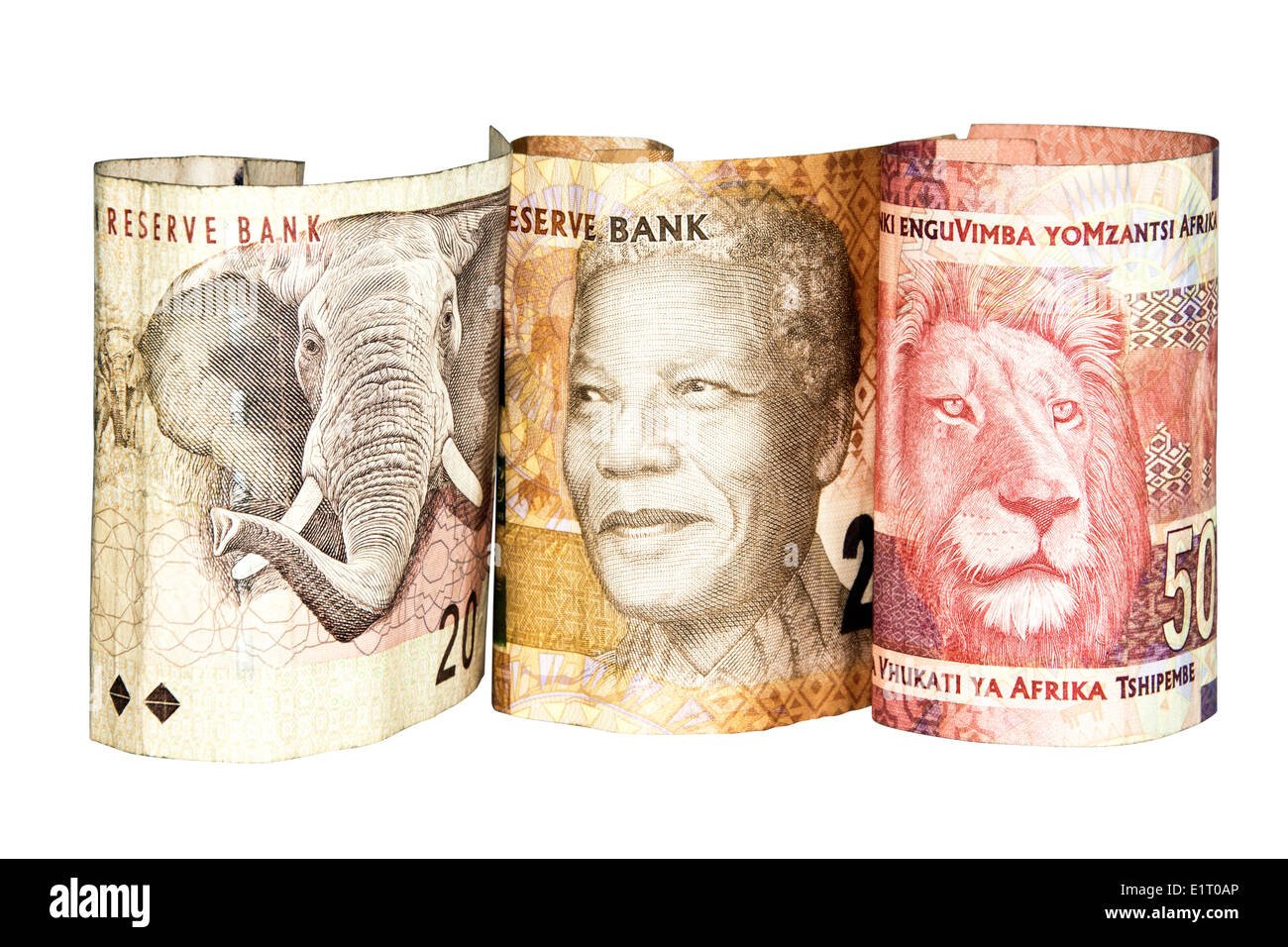 three south African bank notes showing elephant Mandela and lion Stock ...