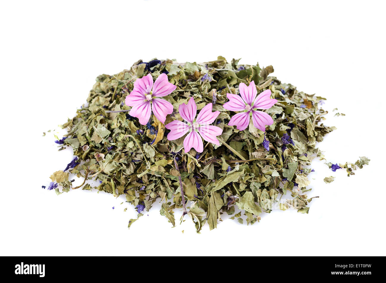 Dried mallow with flowers isolated on white Stock Photo - Alamy