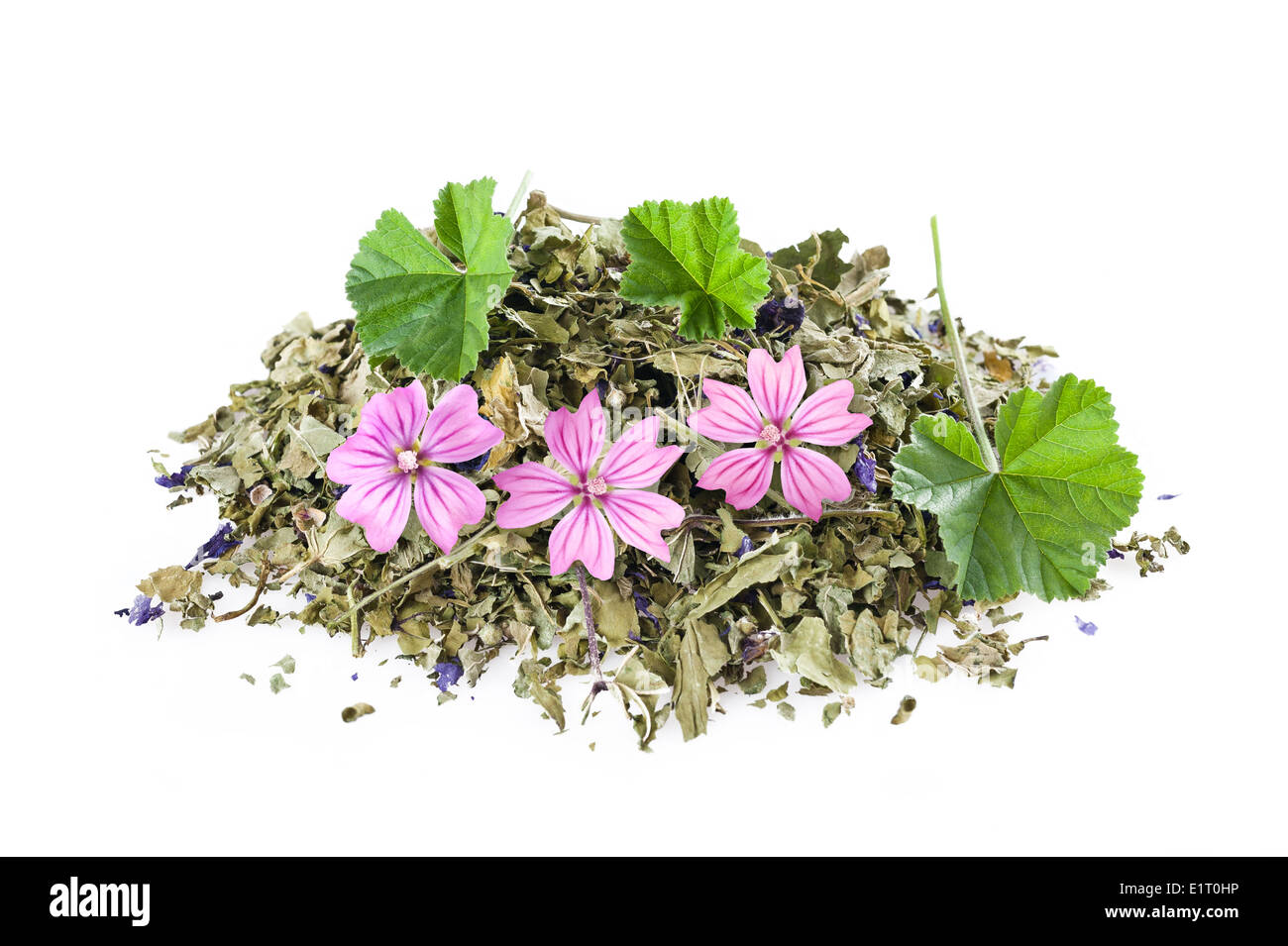 Dried mallow with flowers isolated on white Stock Photo - Alamy