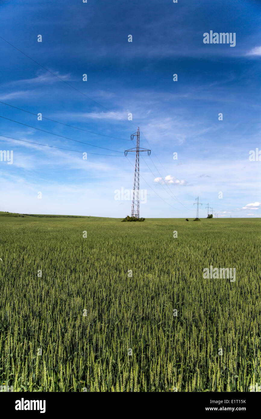 Power lines in the field Stock Photo - Alamy