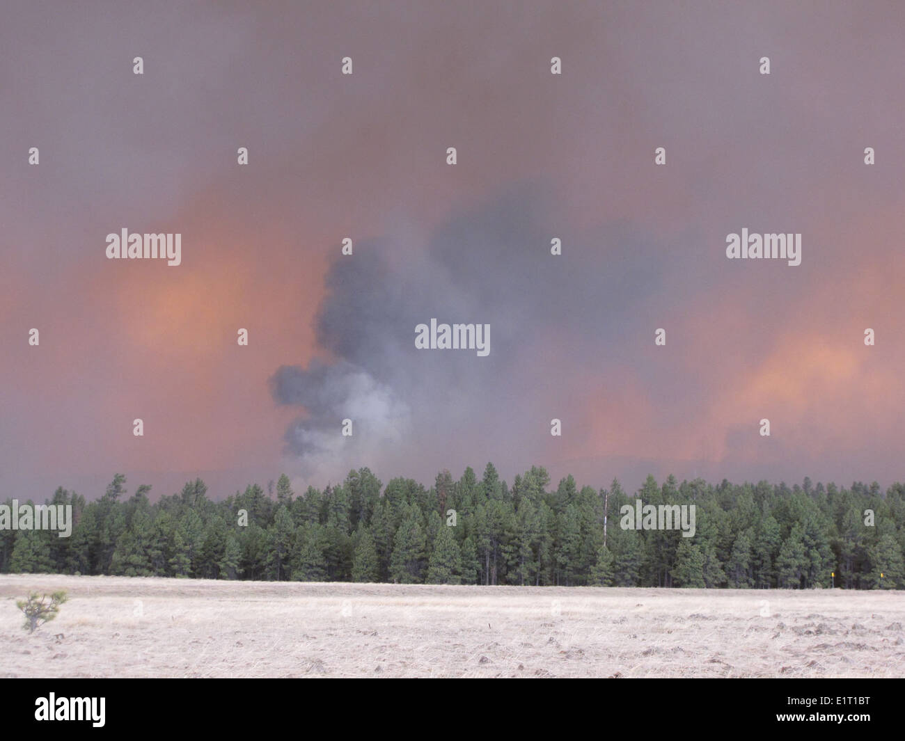 Minimal environmental impact hi-res stock photography and images - Alamy