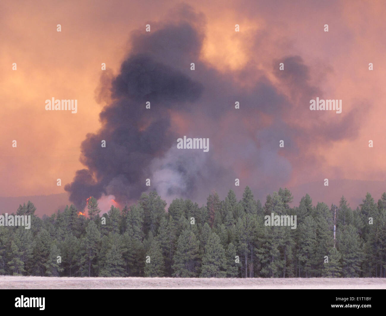Spot areas hi-res stock photography and images - Alamy