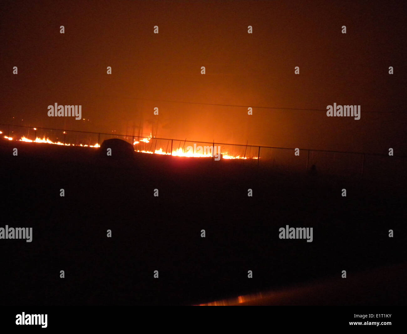 This photo from the Apache-Sitgreaves National Forest in Arizona ...