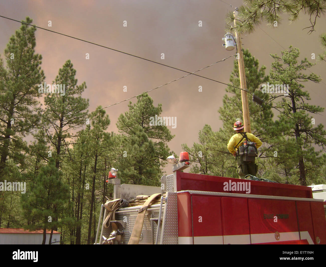 The Wallow Fire of 2011 burned through Arizona's Apache-Sitgreaves ...