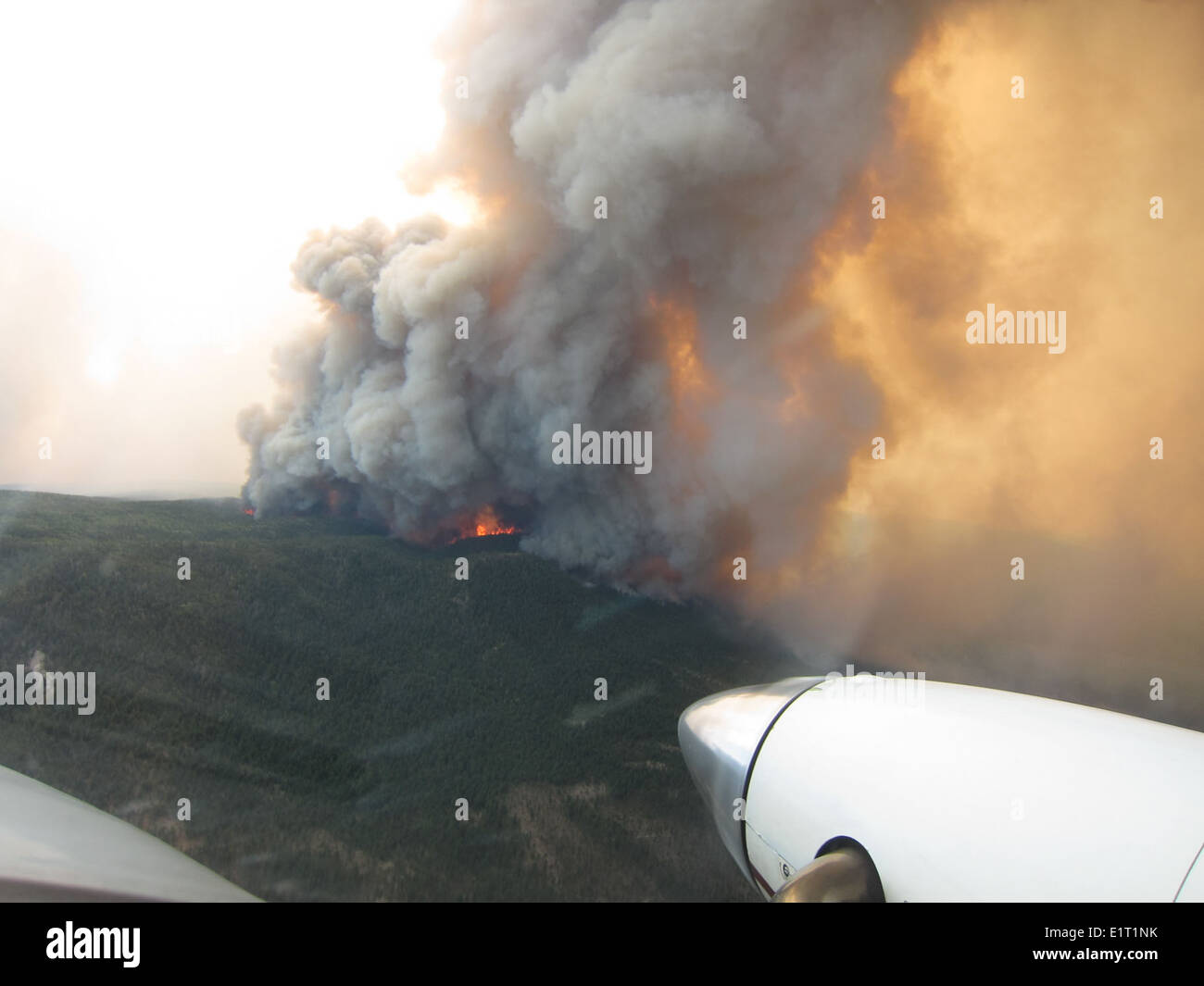 Arizona forest fire plane hi-res stock photography and images - Alamy