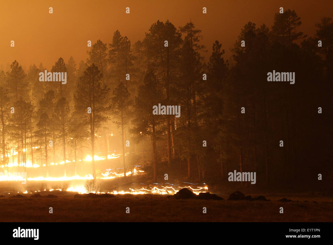 Wf2 hi-res stock photography and images - Alamy