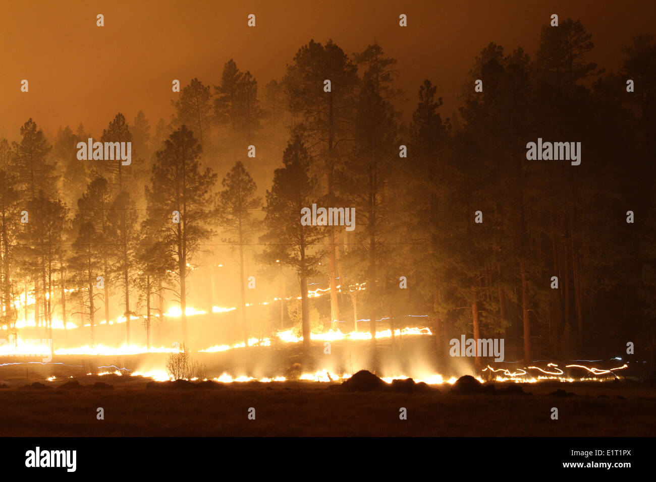 Wf3 hi-res stock photography and images - Alamy