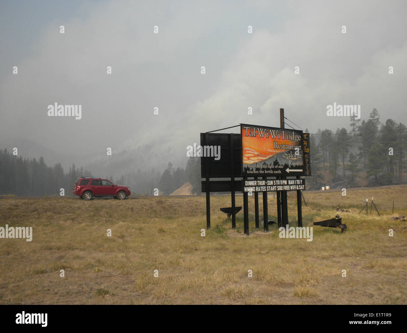 A photo of the Apache-Sitgreaves National Forest in Arizona, showing ...