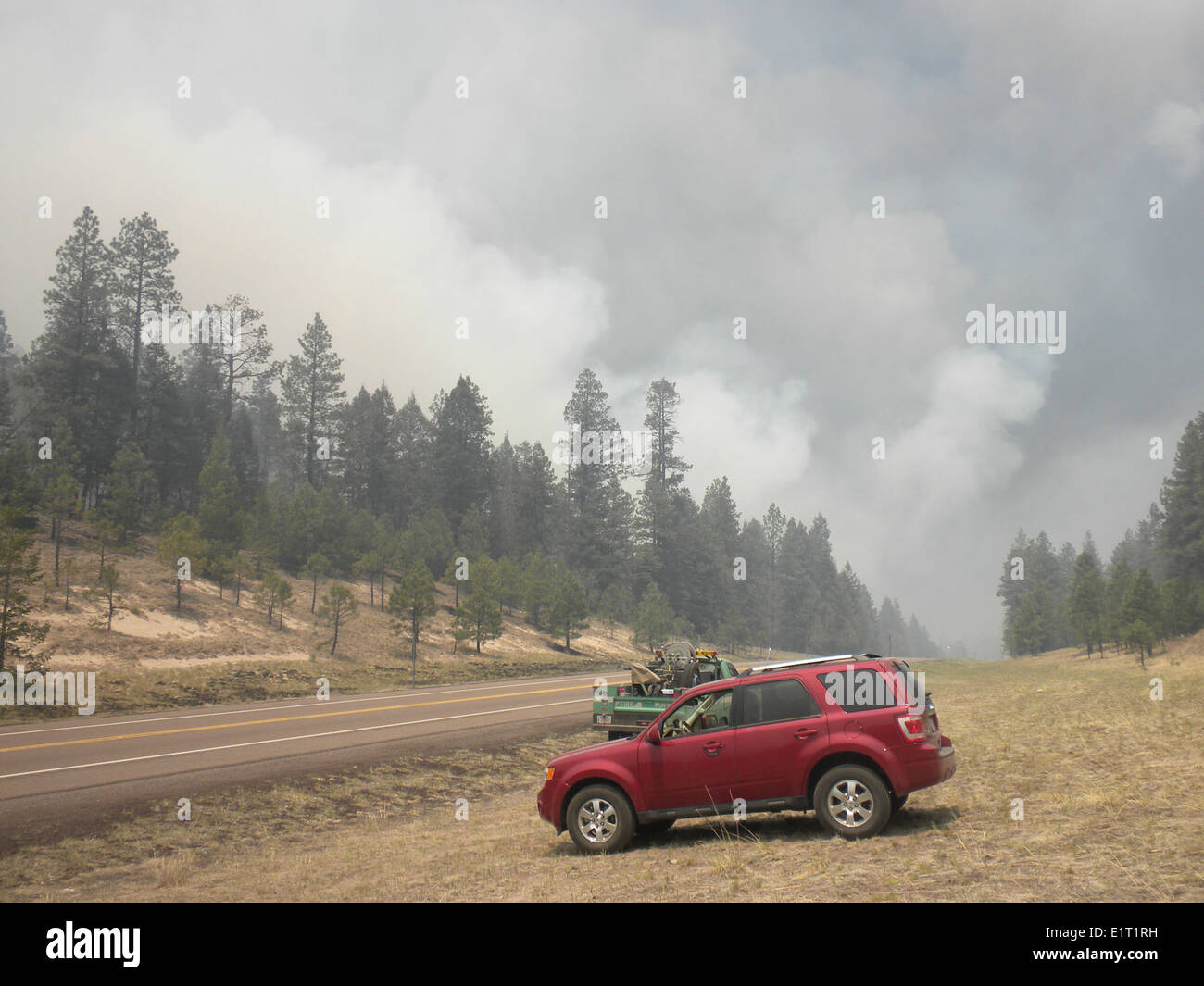 A photograph taken in the Apache-Sitgreaves National Forest, Arizona ...