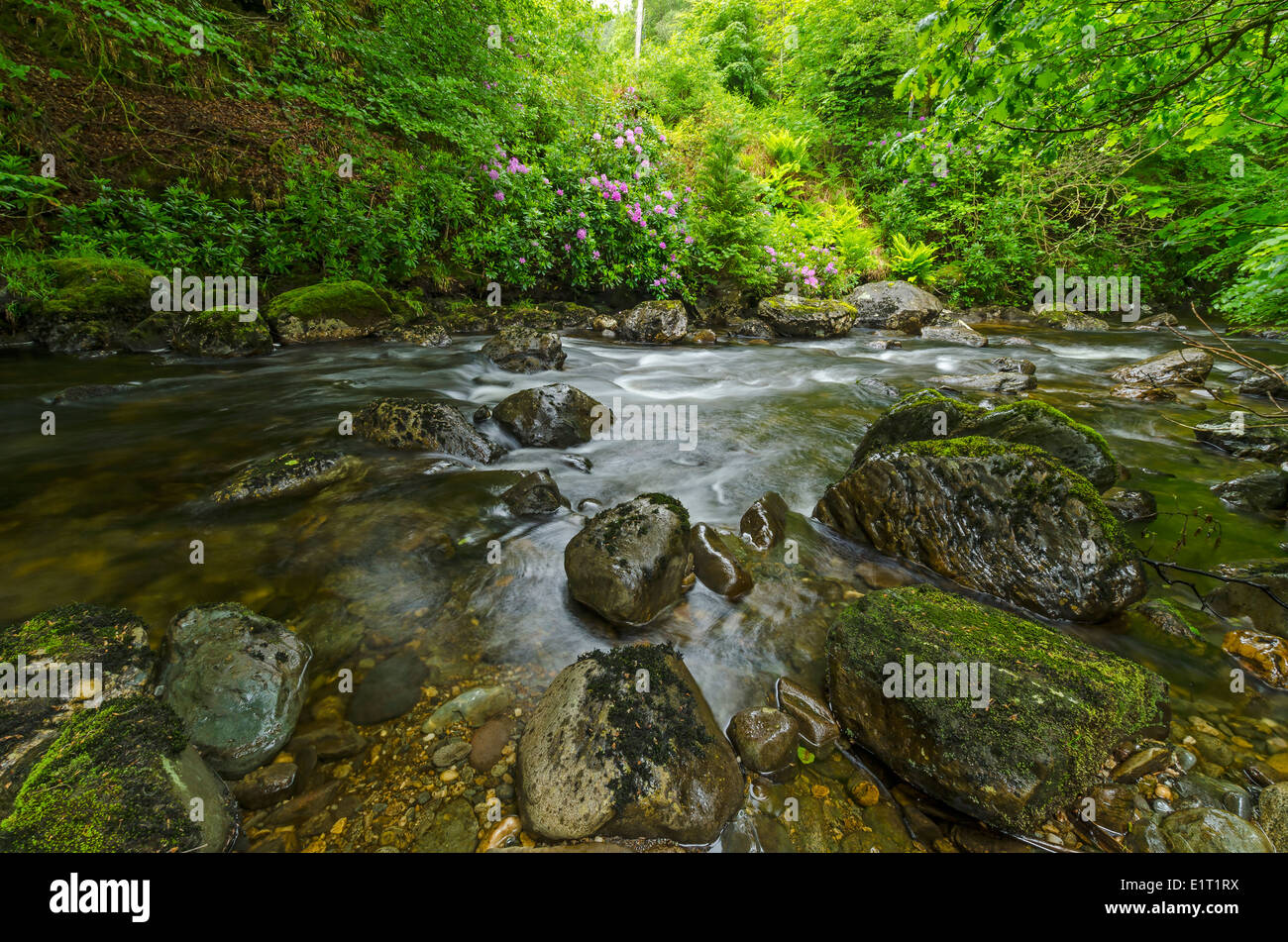 Scotland gorge river hi-res stock photography and images - Alamy