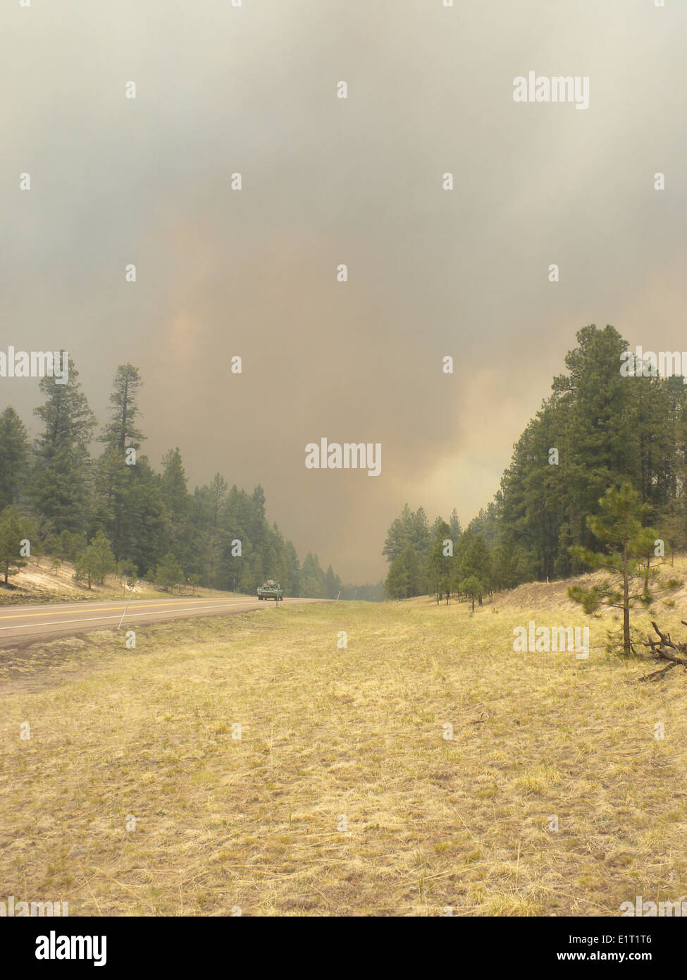 The Wallow Fire in 2011 burned a significant portion of the Apache ...
