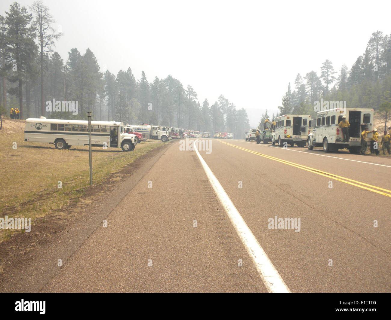 This image shows the aftermath of the Wallow Fire in Apache-Sitgreaves ...