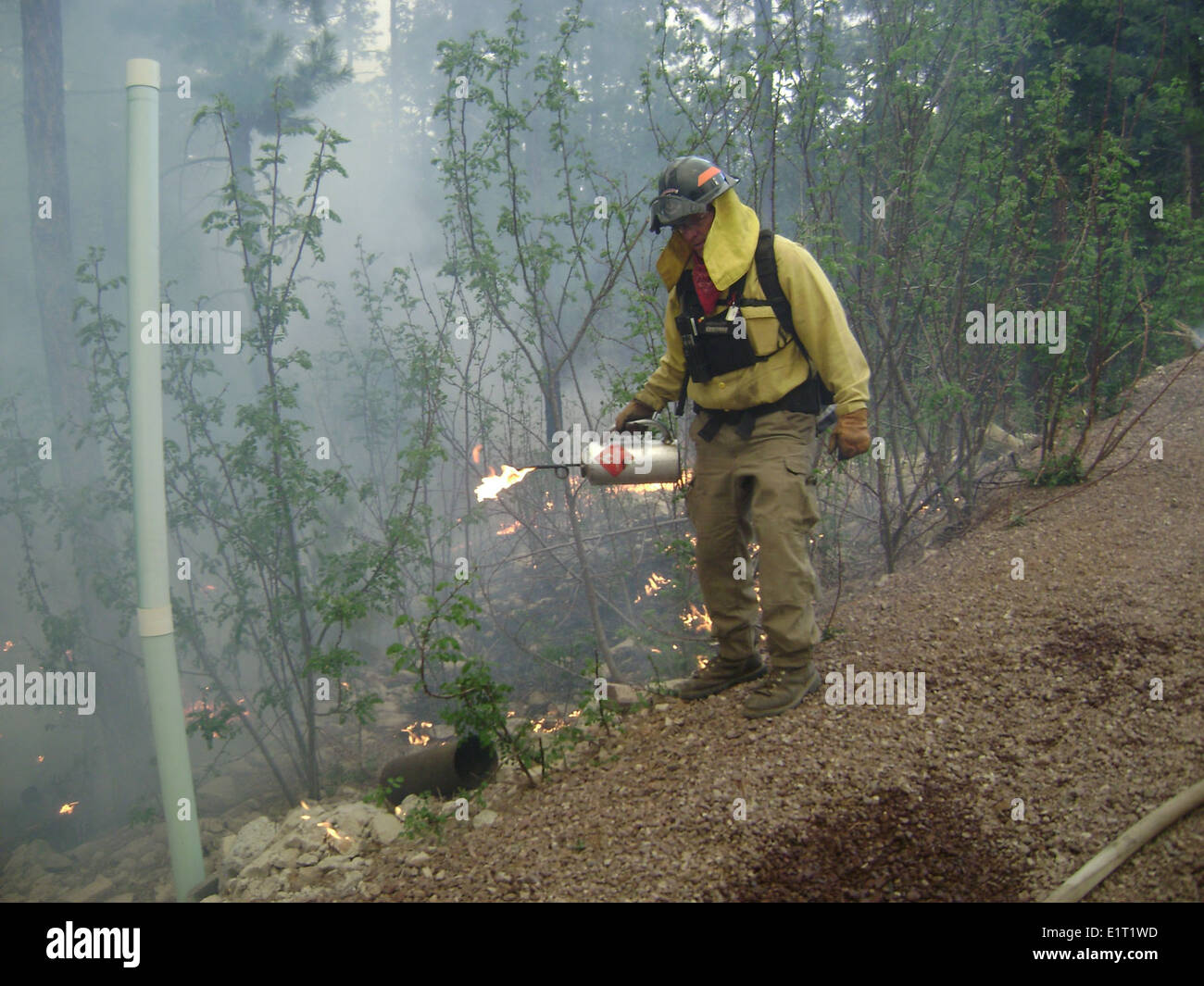 A scene from the Apache-Sitgreaves National Forest in Arizona shows the ...