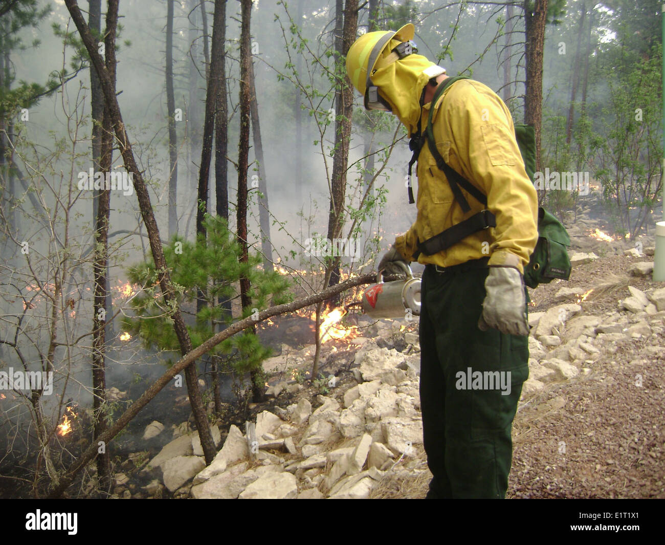 This image captures a view from the Apache-Sitgreaves National Forest ...