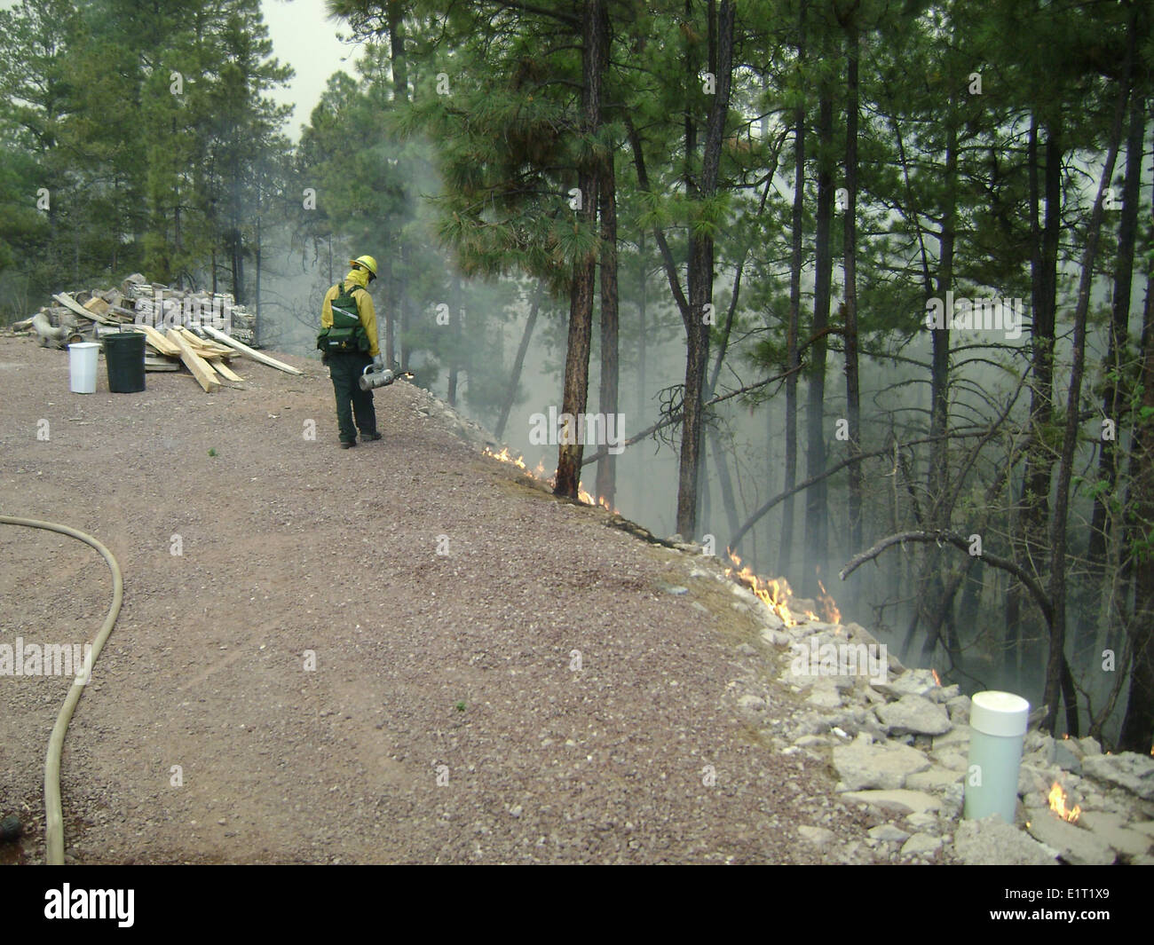 The Wallow Fire, one of Arizona's largest wildfires, occurred near ...
