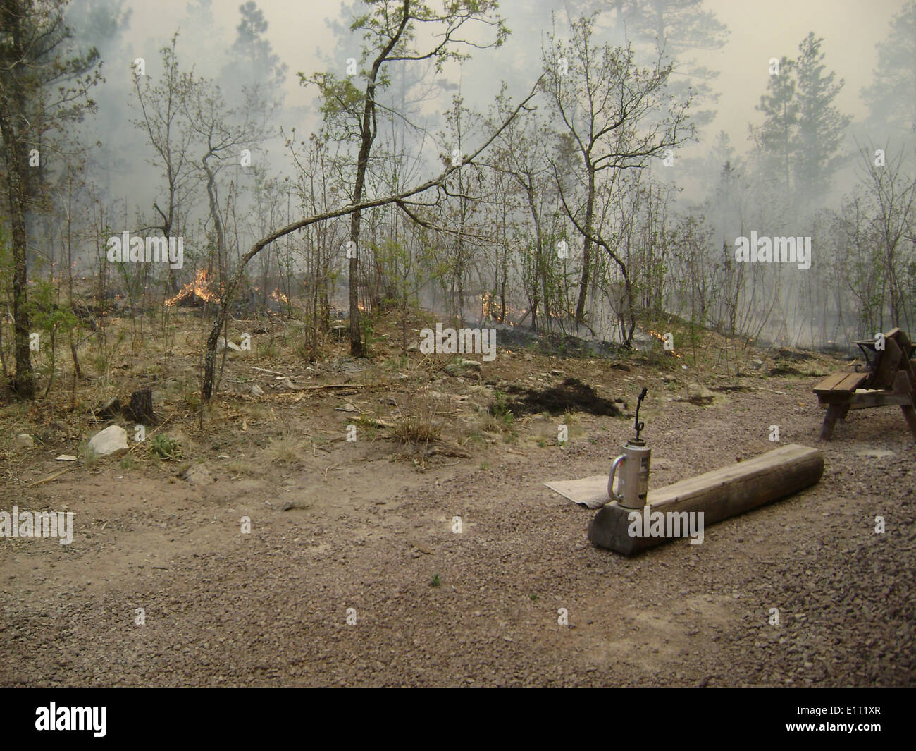 This photo shows the aftermath of the Wallow Fire on the Apache ...