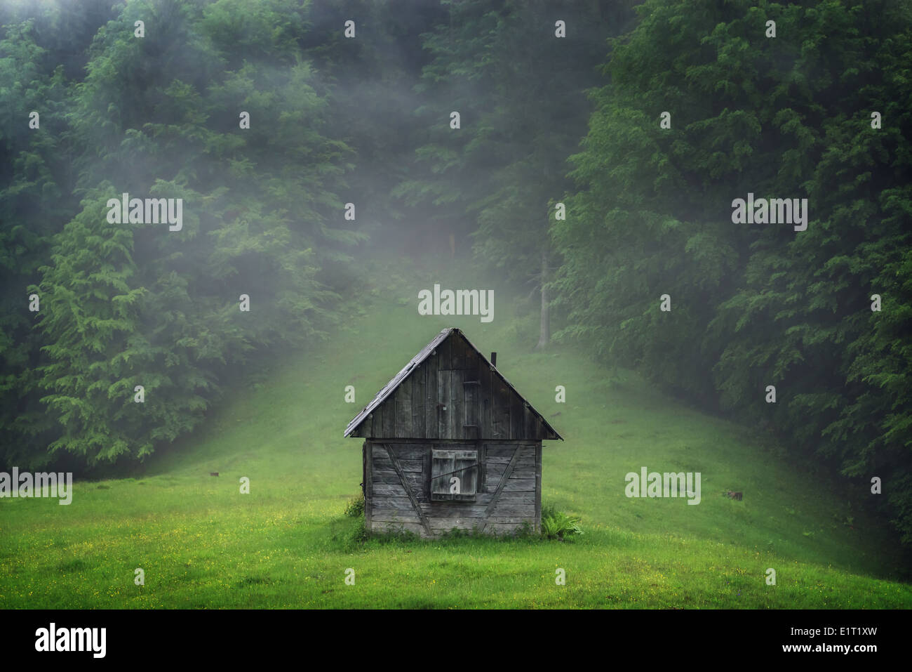 alone cabin in the woods Stock Photo - Alamy