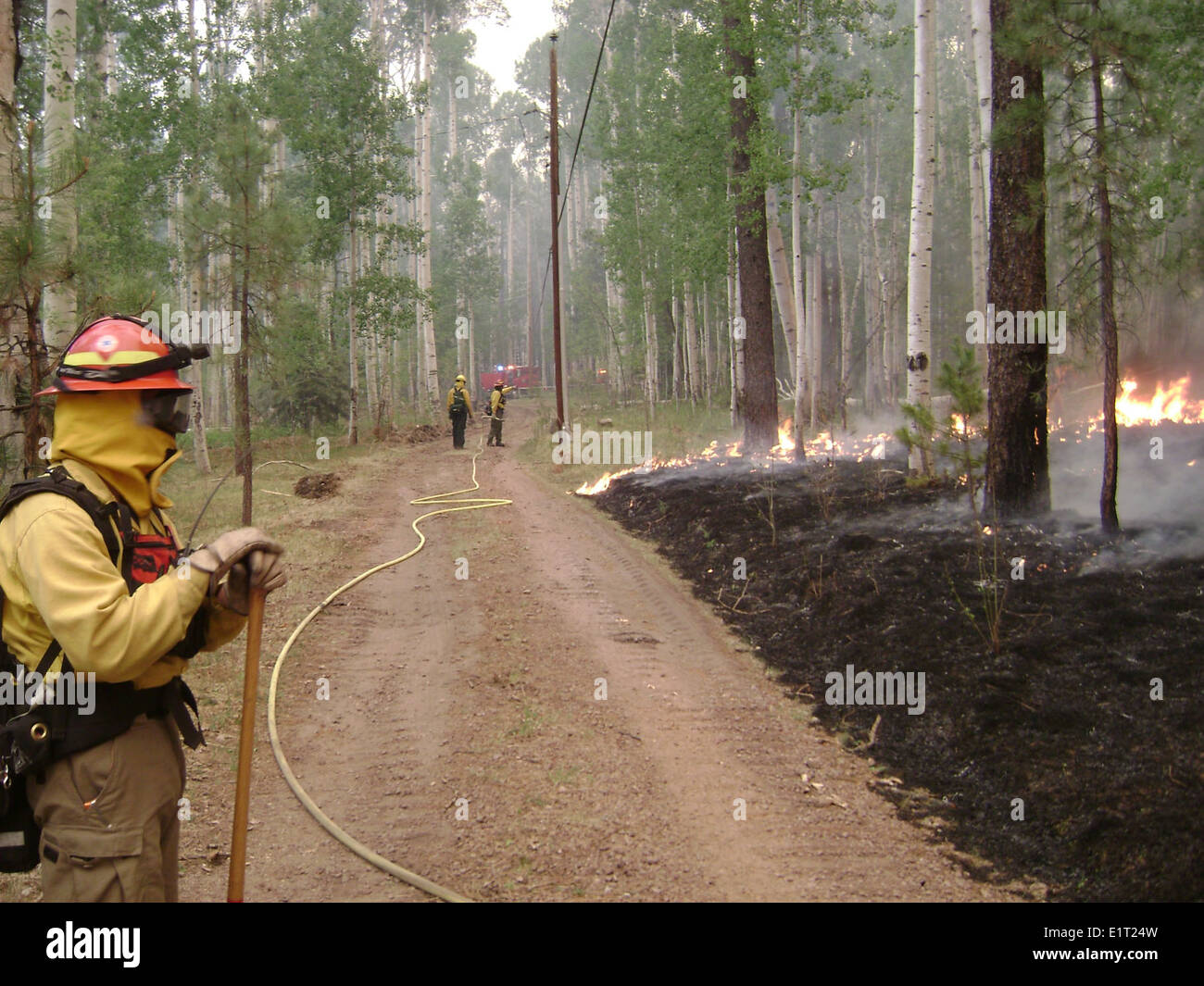 A scene of the Wallow Fire, which occurred in the Apache-Sitgreaves ...