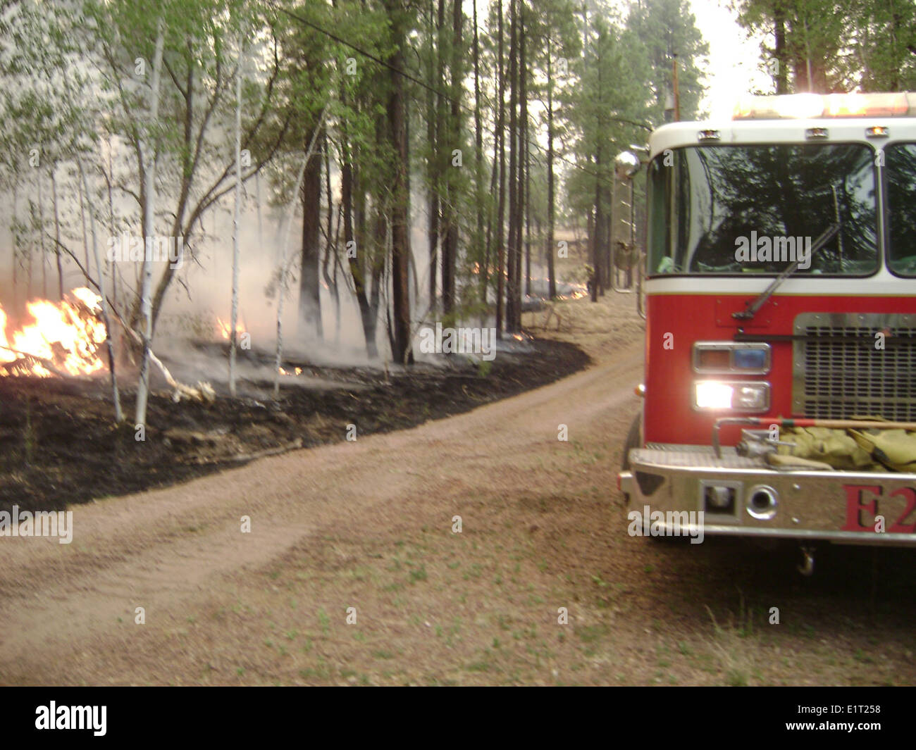 This image from the Apache-Sitgreaves National Forest captures the ...