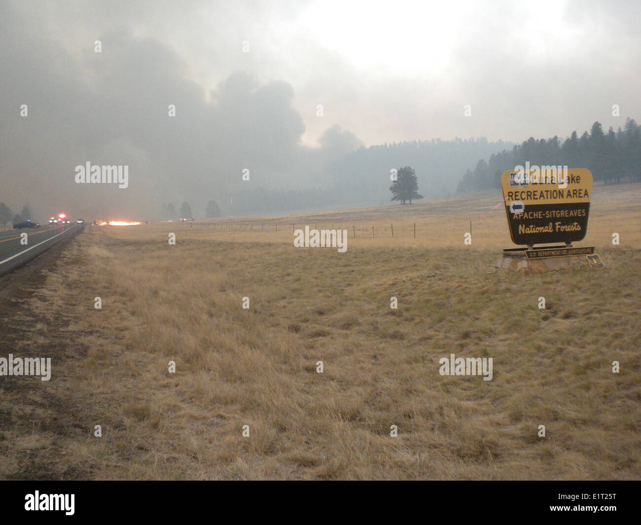 Wildfire damage assessment hi-res stock photography and images - Alamy