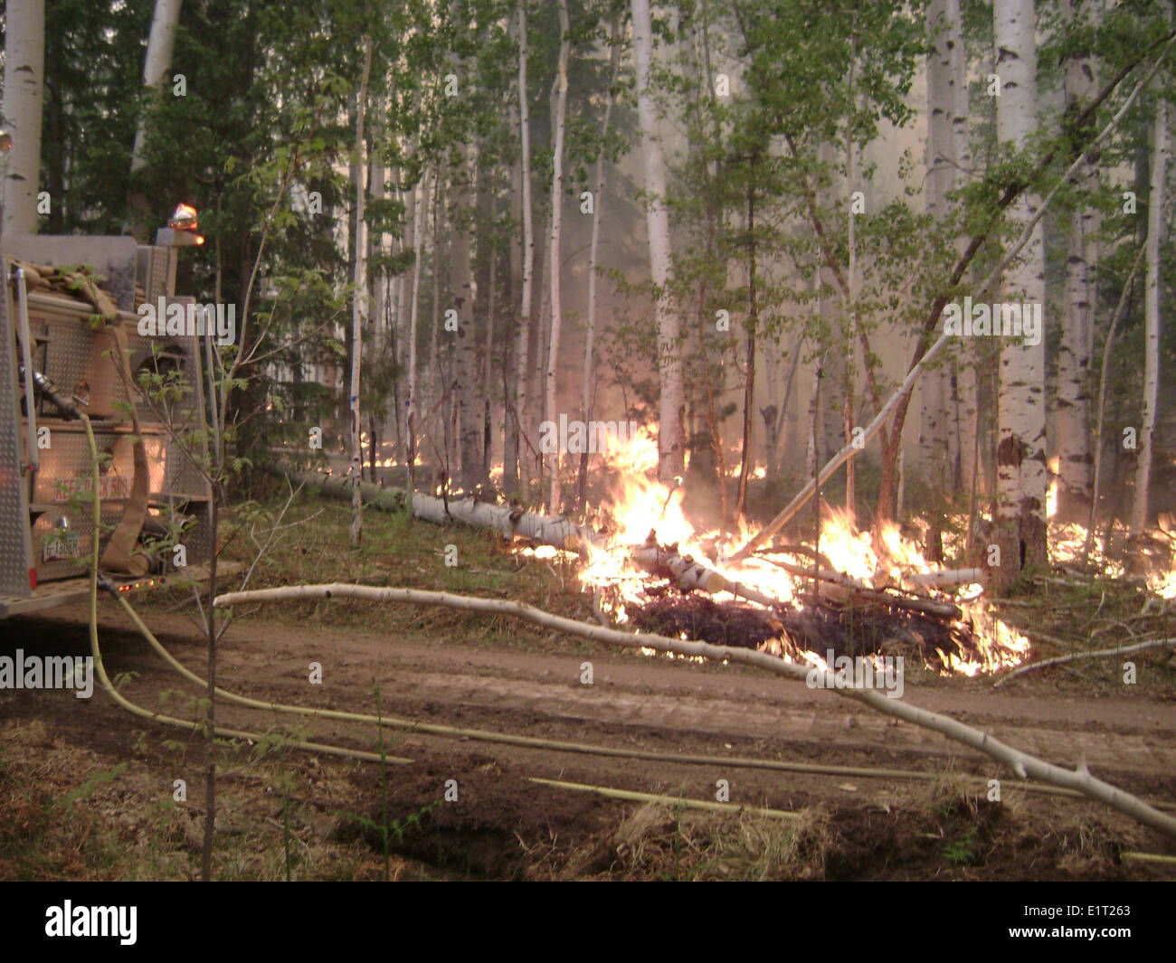 Wildfire aftermath devastating landscape hi-res stock photography and ...