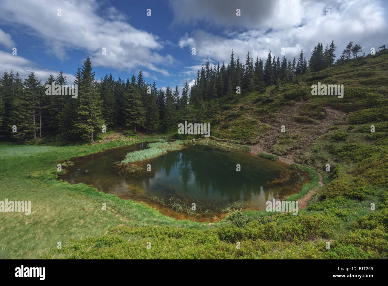 clear mountain lake in forest Stock Photo - Alamy