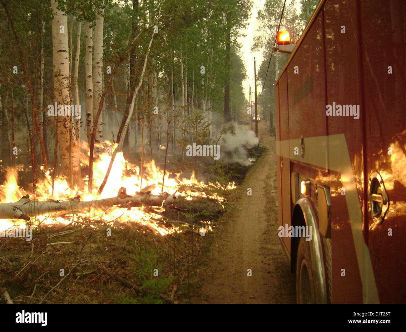 The 2011 wildfire on Hwy 180/US191 in the Apache-Sitgreaves National ...