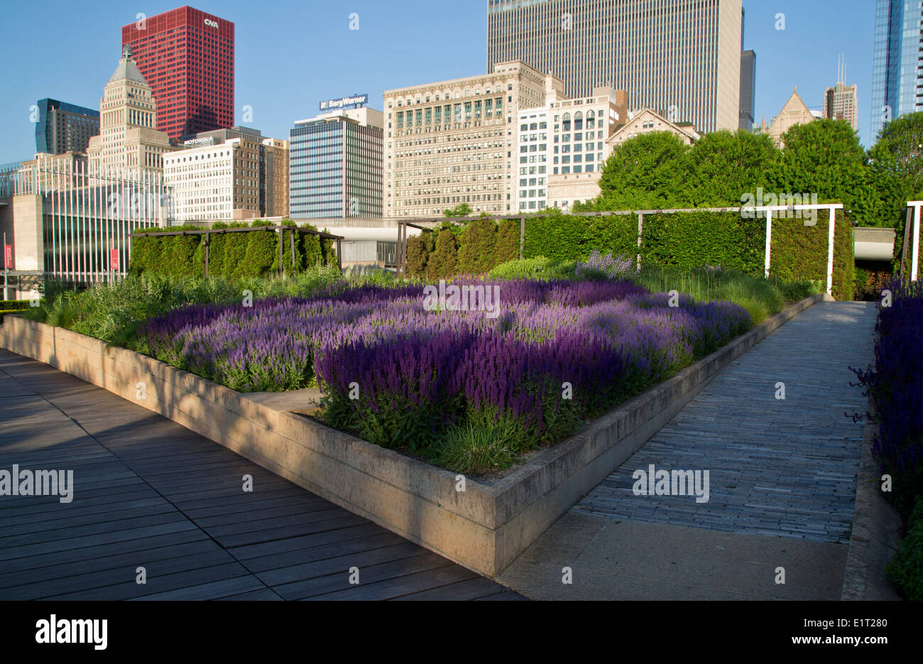 Sunrise over the Lurie Garden in Chicago Stock Photo - Alamy