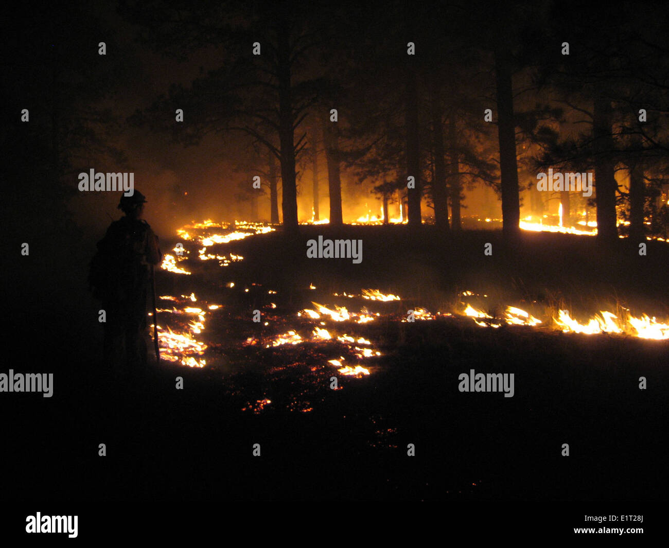 A snapshot from Apache-Sitgreaves National Forest captures the ...