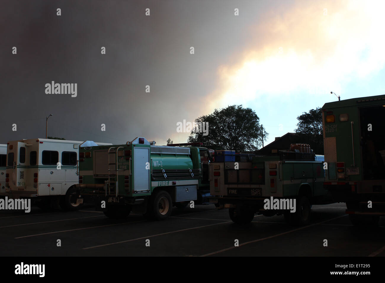 A photograph from the aftermath of the Wallow Fire in Apache-Sitgreaves ...