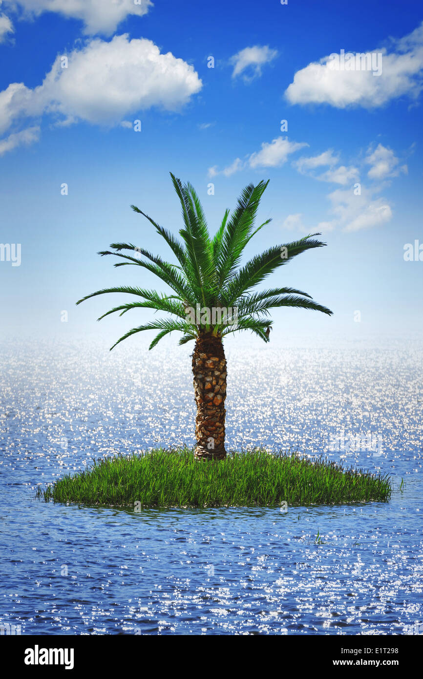 small island with grass in sea Stock Photo - Alamy