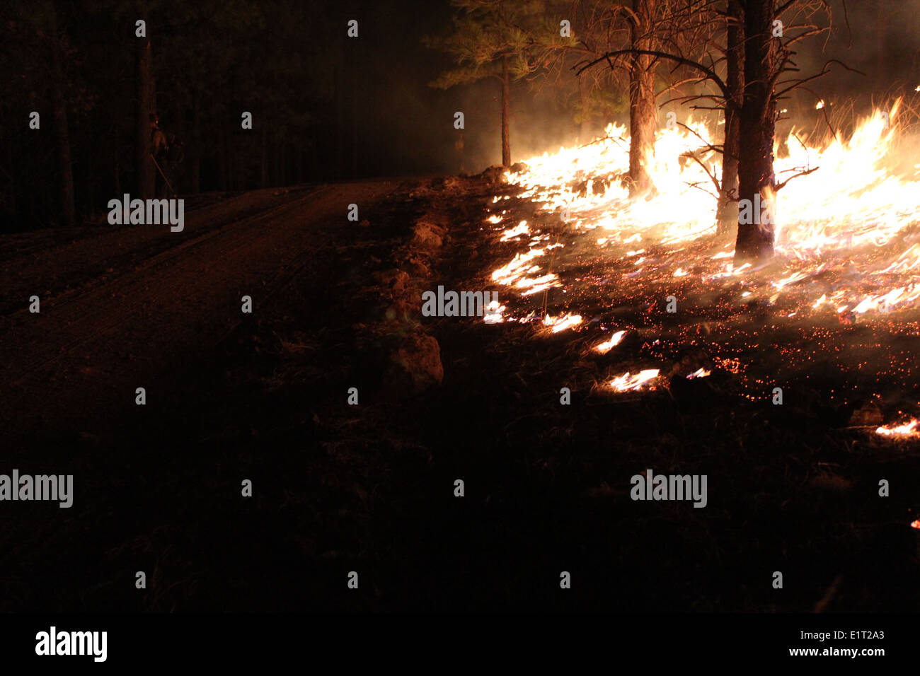 This image captures a scene from the Apache-Sitgreaves National Forest ...