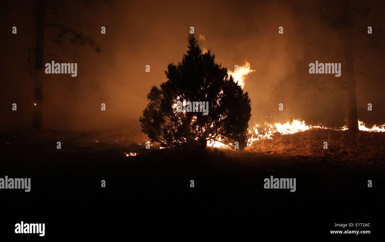 A photograph from Apache-Sitgreaves National Forest in Arizona showing ...