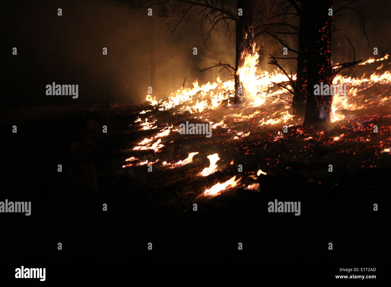 This image shows the aftermath of the Wallow Fire in the Apache ...