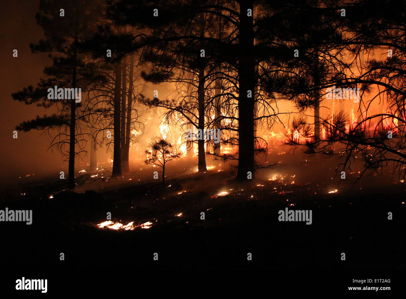 A wildfire, known as the Wallow Fire, occurred in the Apache-Sitgreaves ...
