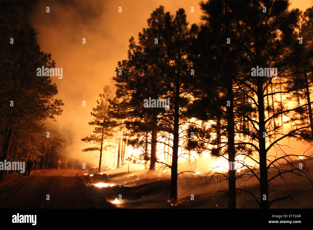 This image captures the aftermath of the Wallow Fire in the Apache ...