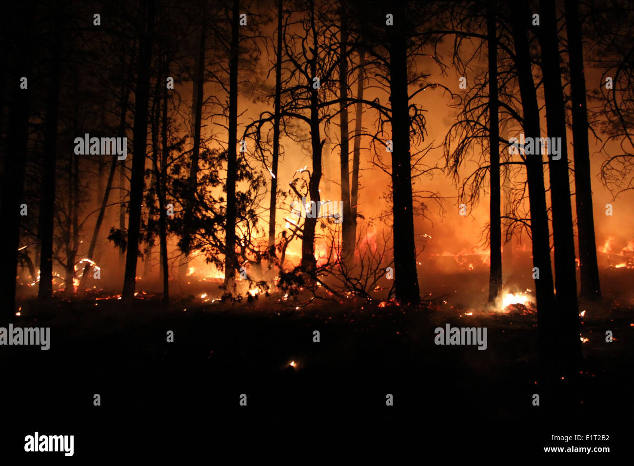 The image depicts the aftermath of the Wallow Fire in the Apache ...