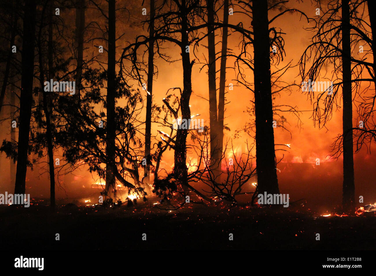 This image captures a scene from the Apache-Sitgreaves National Forest ...