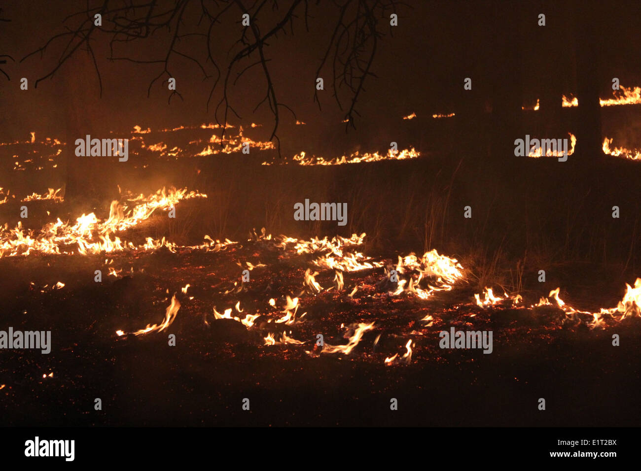 A photo from the Apache-Sitgreaves National Forest in Arizona showing ...