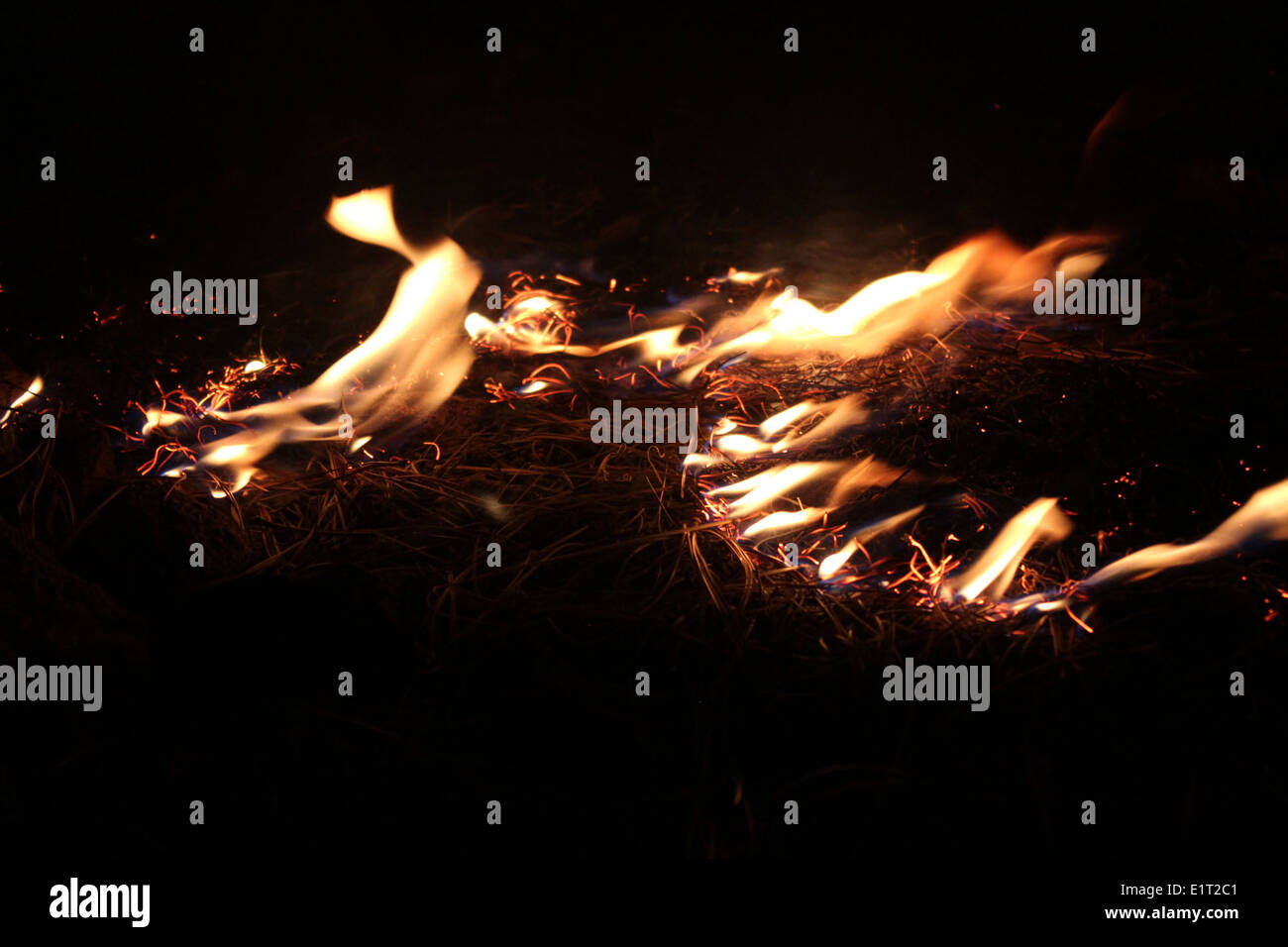 A photograph of the Wallow Fire in the Apache-Sitgreaves National ...