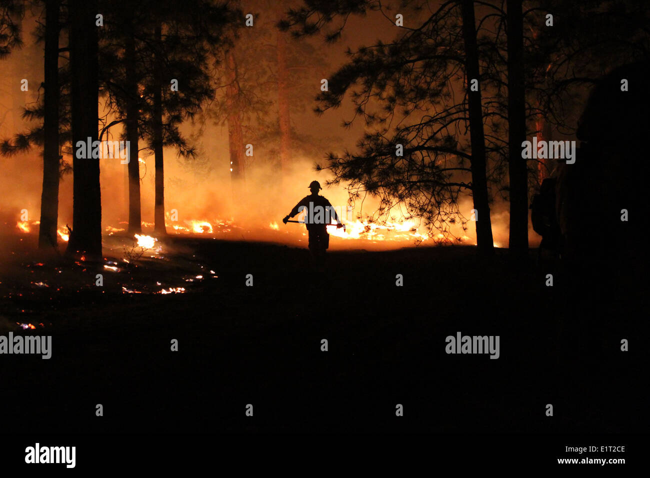 The Wallow Fire in the Apache-Sitgreaves National Forest, Arizona ...