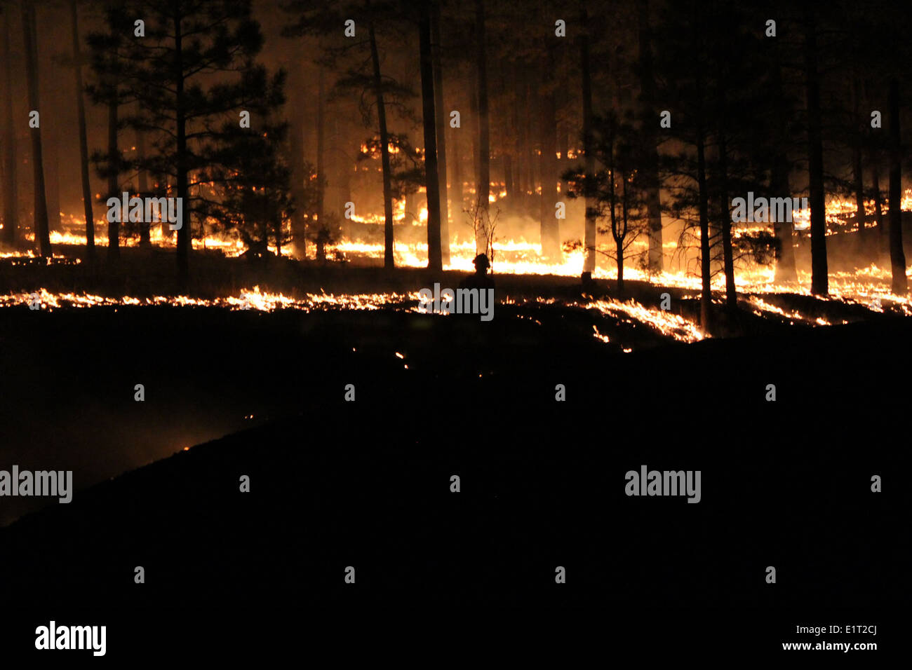 The image captures the aftermath of the 2011 Wallow Fire in the Apache ...