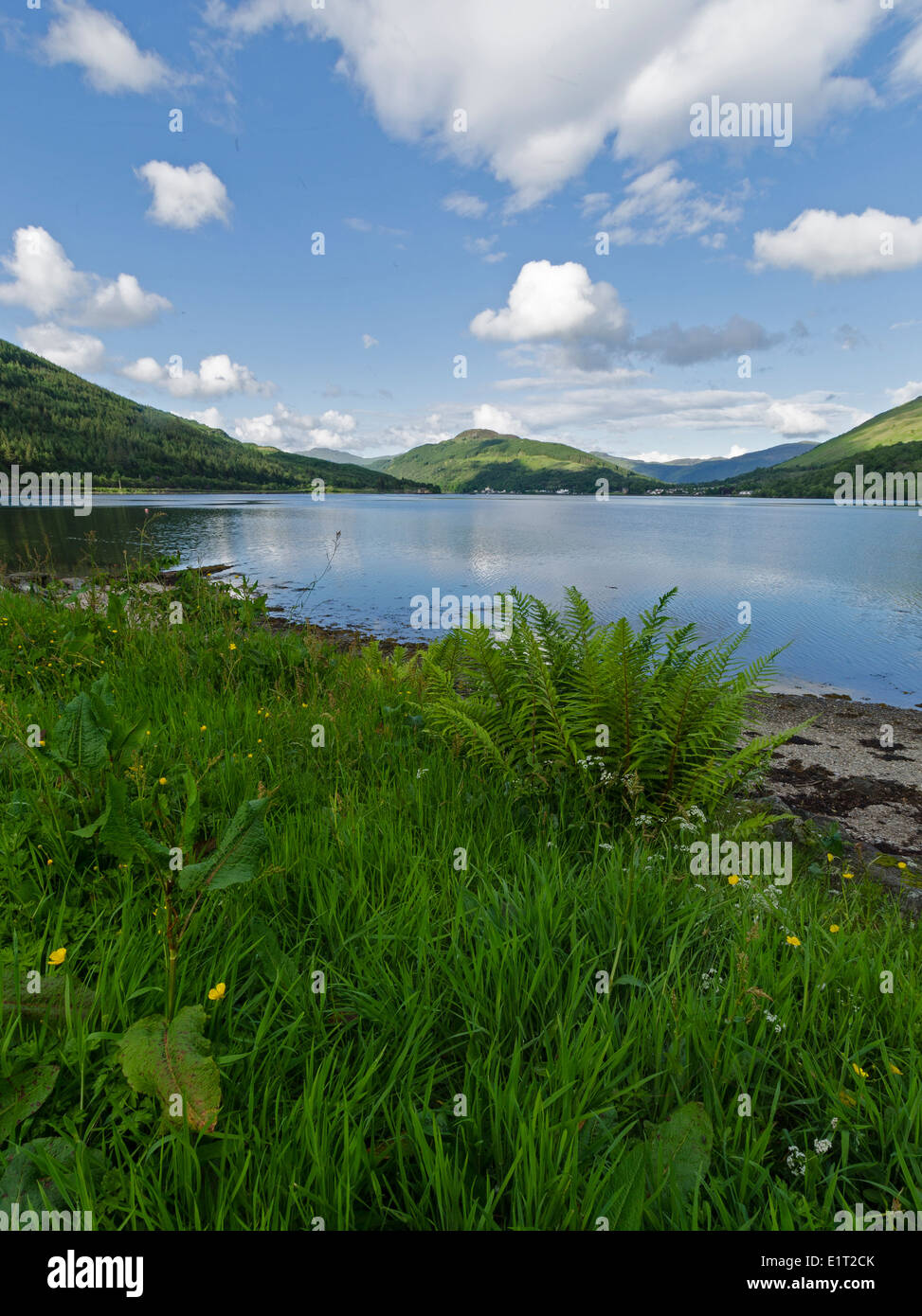Arrochar hi-res stock photography and images - Alamy