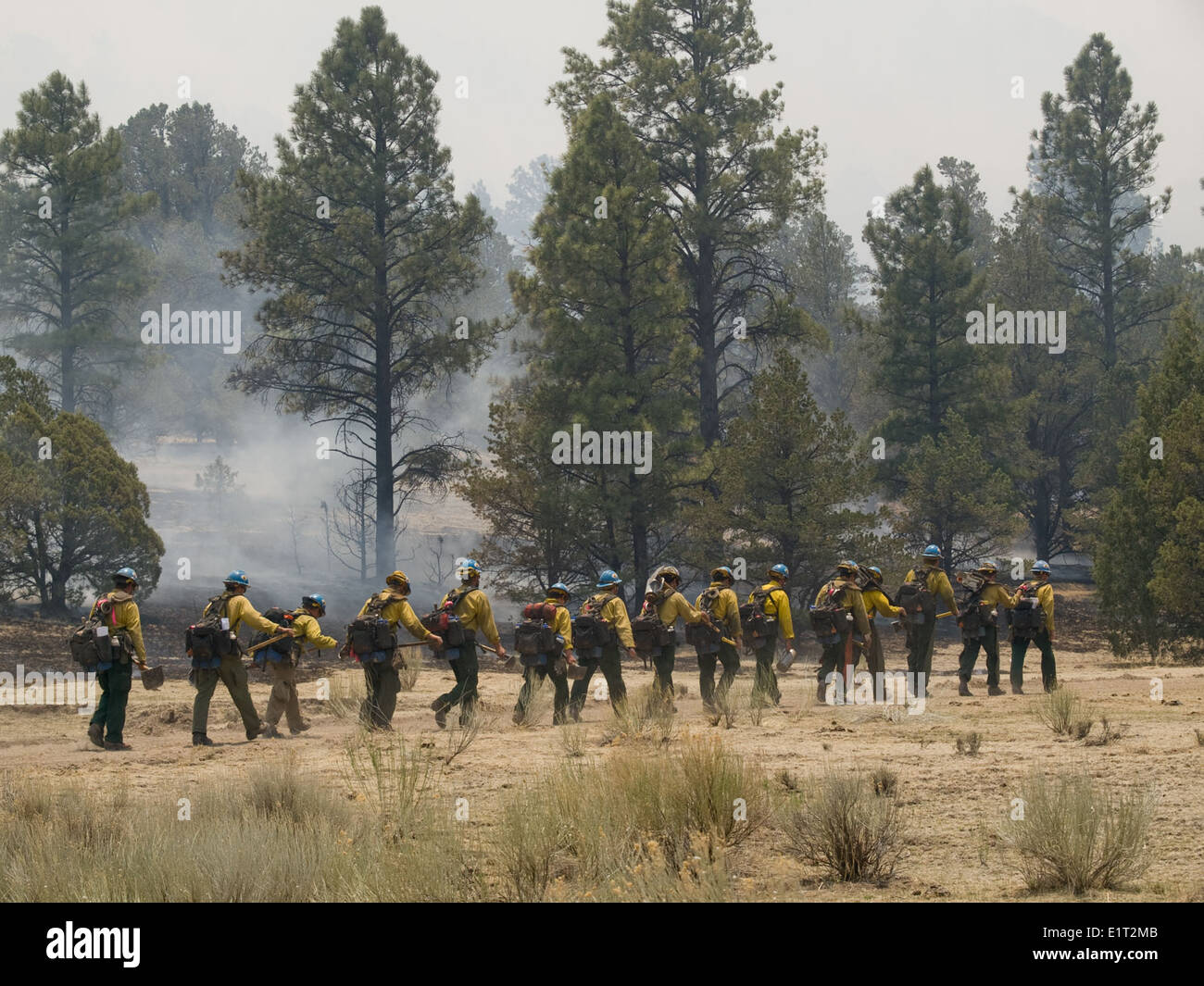 A photo from the Wallow Fire event in Apache-Sitgreaves National Forest ...