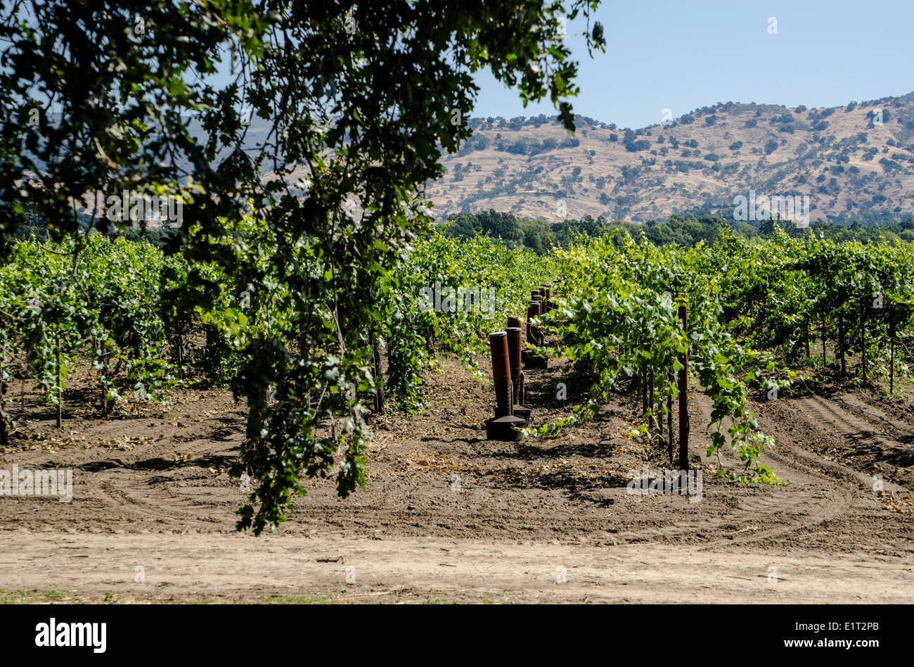 Heaters vineyard hi-res stock photography and images - Alamy